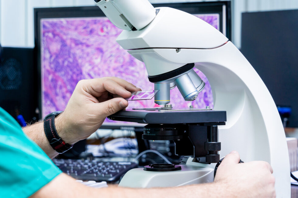 The Science of Understanding Pain - U.S. Pain Foundation